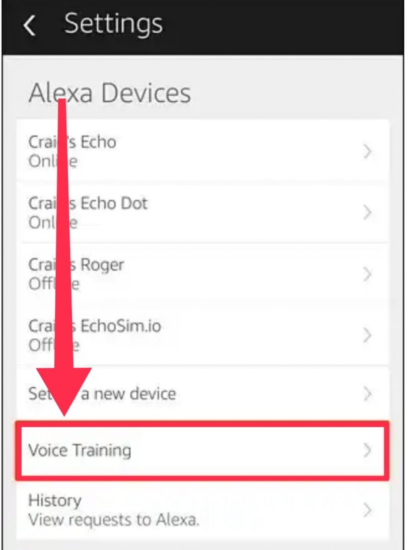 How to Fix Common Alexa Issues - TechMused