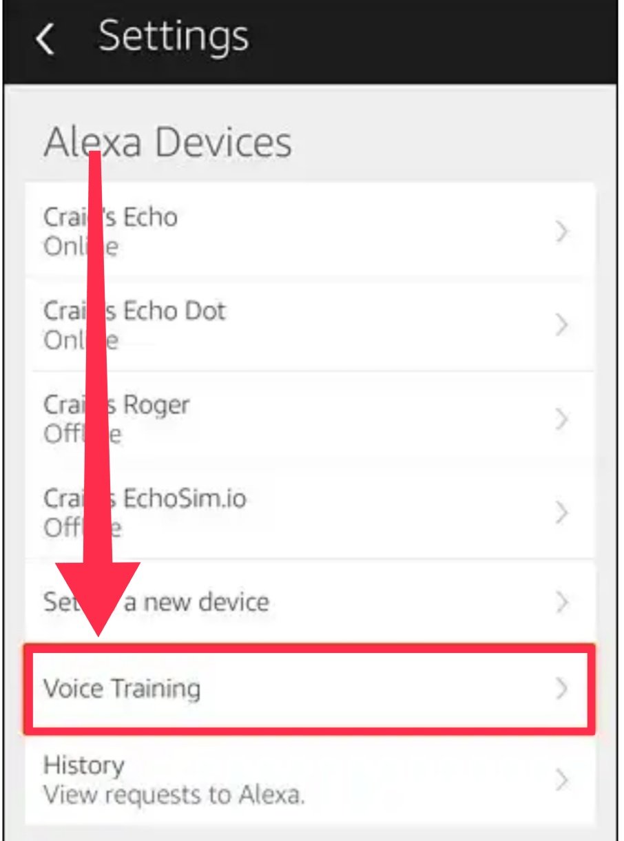 How to Fix Common Alexa Issues - TechMused